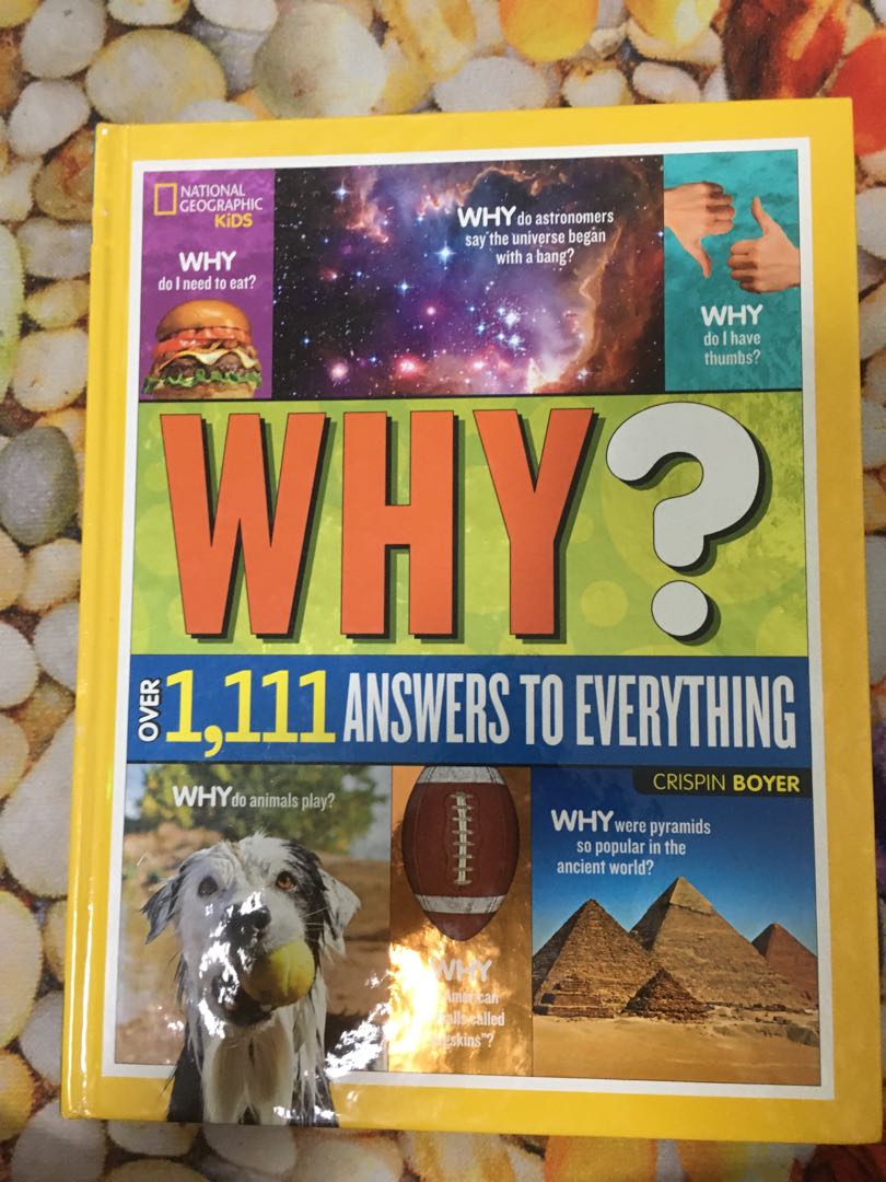 WHY? Book, Hobbies & Toys, Books & Magazines, Fiction & Non-Fiction on ...