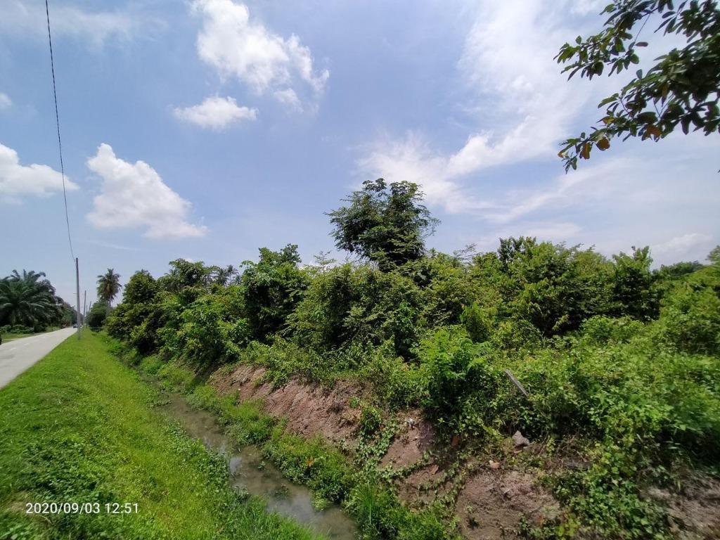 31 Acre Residential Zoning Land At Kg Selamat Tasek Gelugor Penang