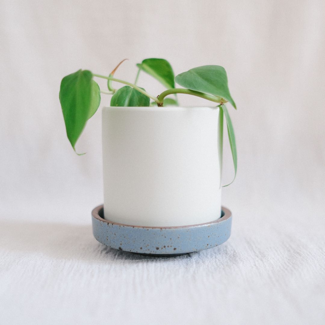 Plant Base, Furniture & Home Living, Gardening, Pots & Planters on ...