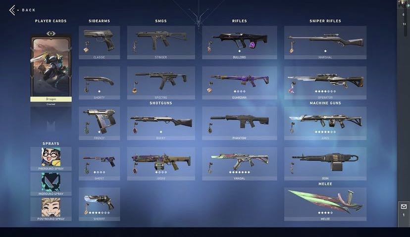 SOL Bundle valorant Account, Video Gaming, Gaming Accessories, Game ...