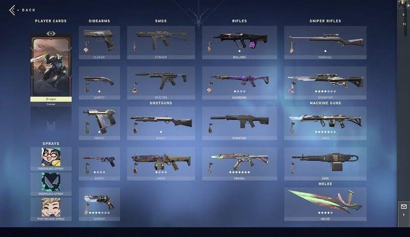 SOL Bundle valorant Account, Video Gaming, Gaming Accessories, Game ...