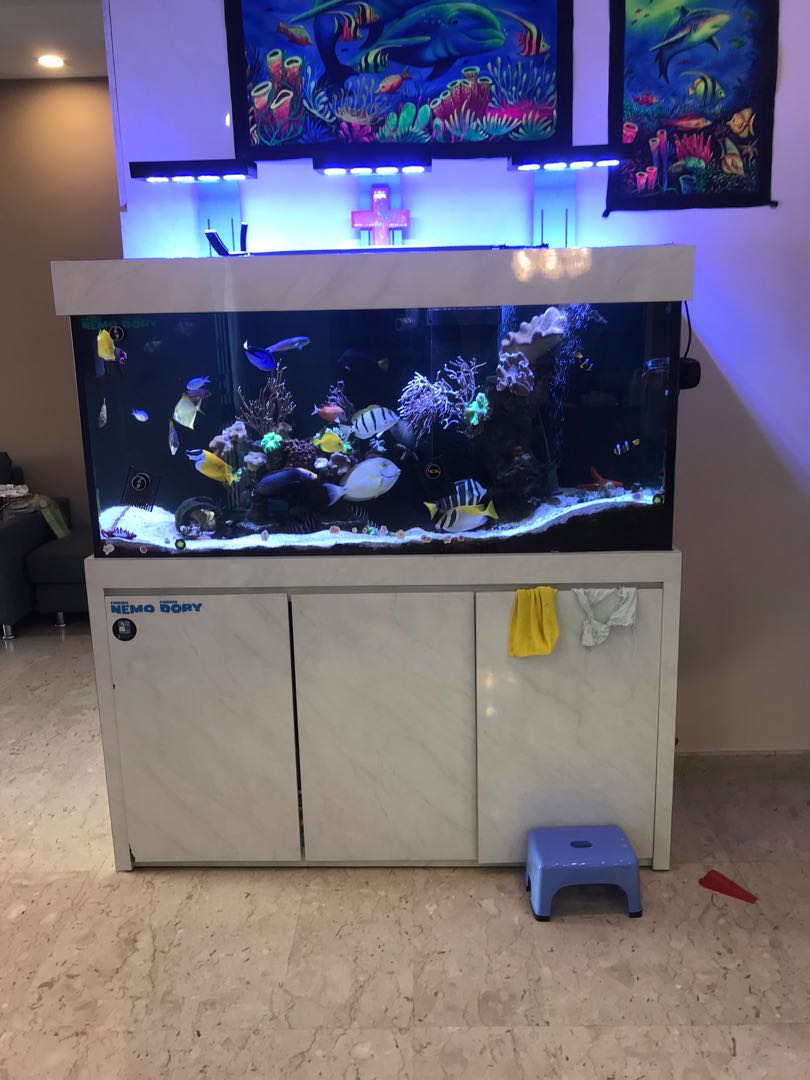 5 feet Fish Tank by CRA, Pet Supplies, Homes & Other Pet Accessories on ...