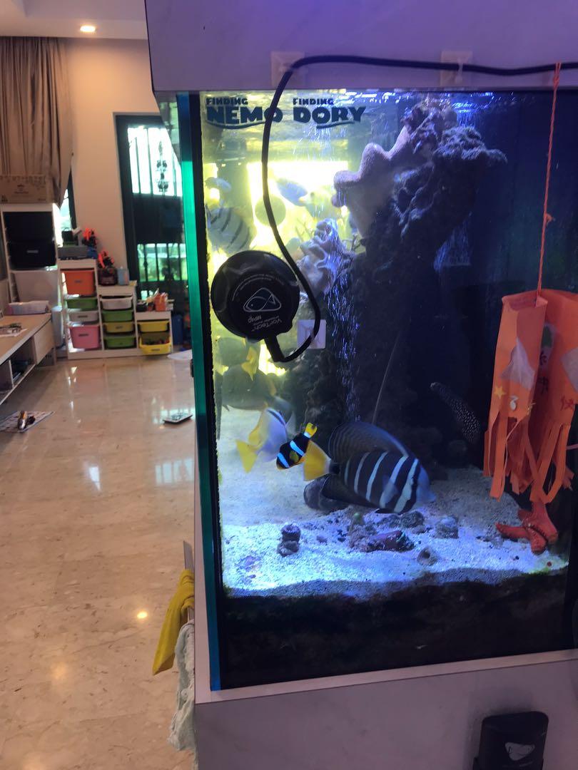 5 feet Fish Tank by CRA, Pet Supplies, Homes & Other Pet Accessories on ...