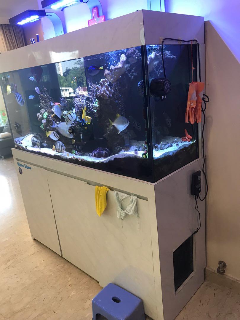 5 feet Fish Tank by CRA, Pet Supplies, Homes & Other Pet Accessories on ...