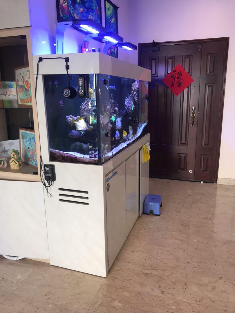 5 feet Fish Tank by CRA, Pet Supplies, Homes & Other Pet Accessories on ...