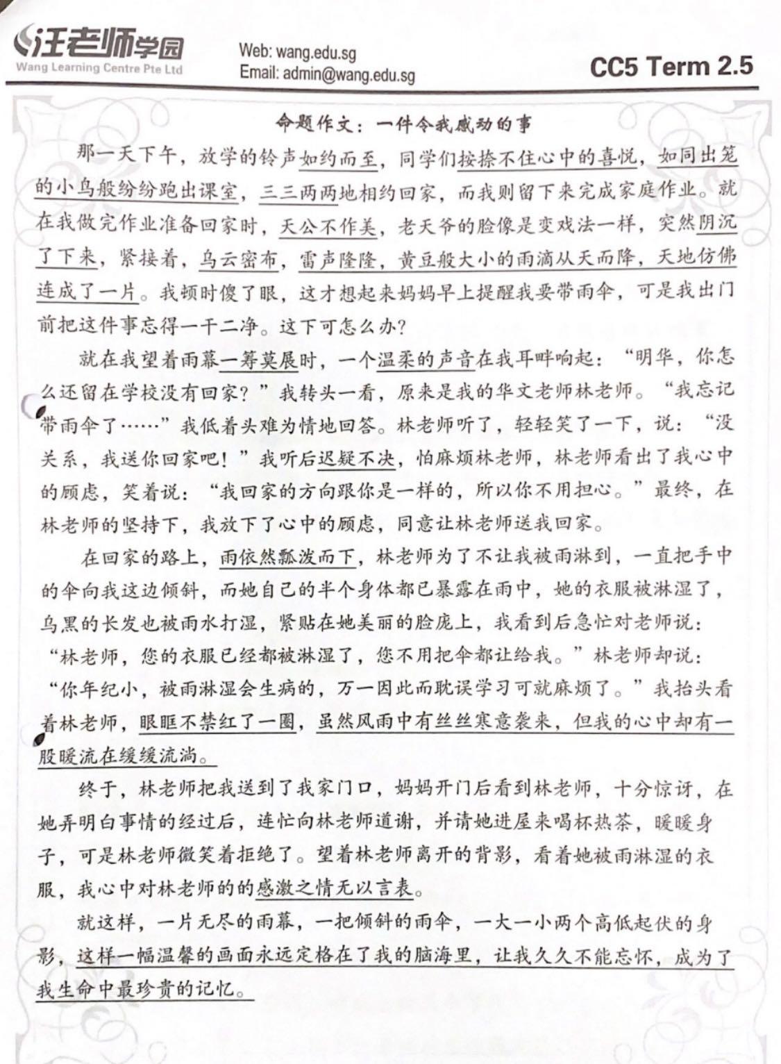 P5 Chinese model compositions - Wang Learning Centre, Hobbies & Toys ...