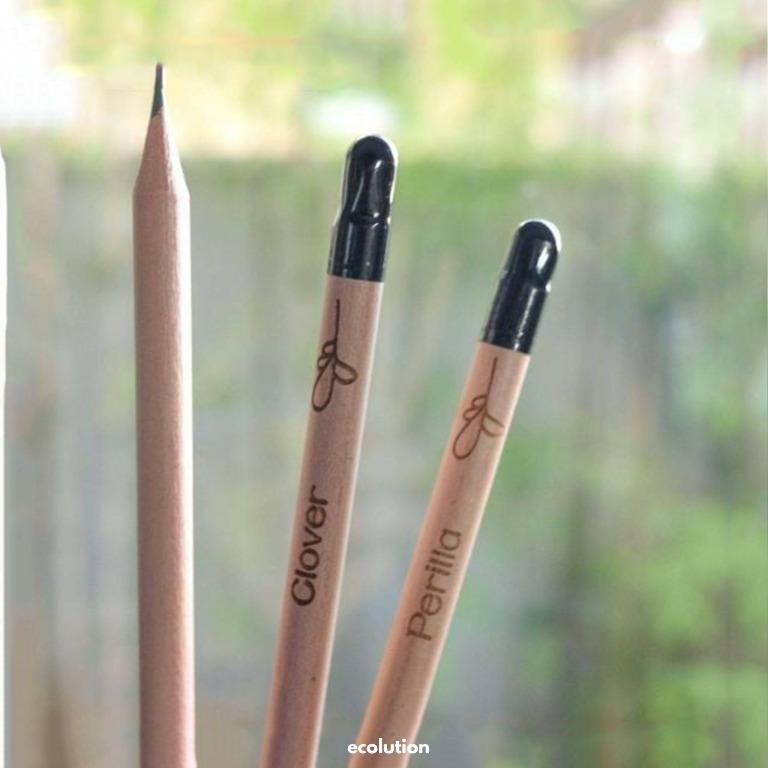 Plantable Sprouting Pencil, Hobbies & Toys, Stationary & Craft, Craft ...