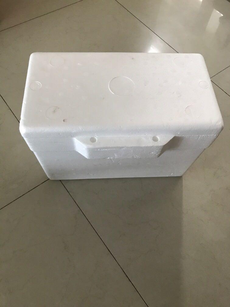 Styrofoam Cooler Box, Furniture & Home Living, Kitchenware & Tableware ...