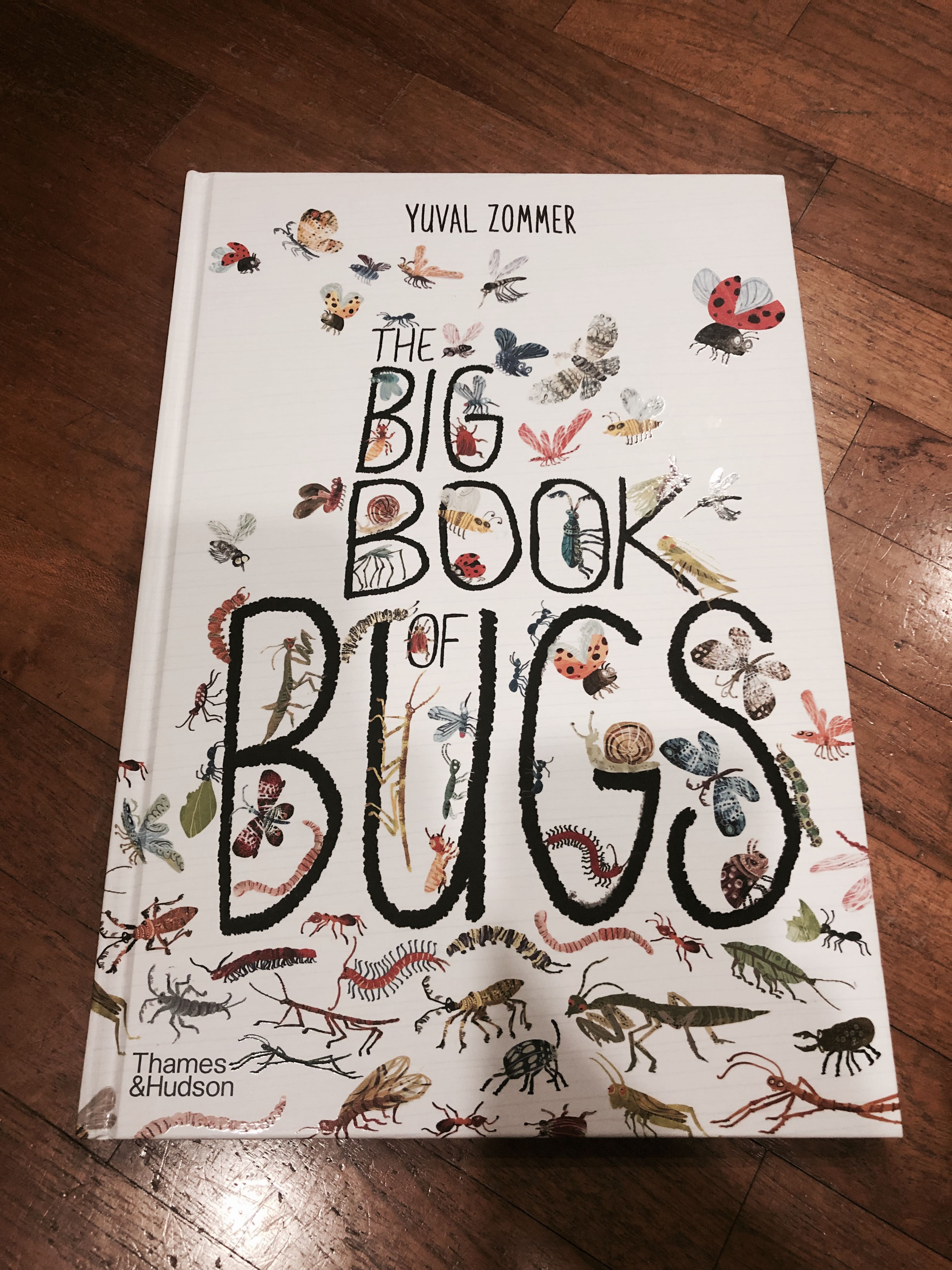 The Big Book of Bugs by Yuval Zommer for kids children reference book, Hobbies & Toys, Books ...