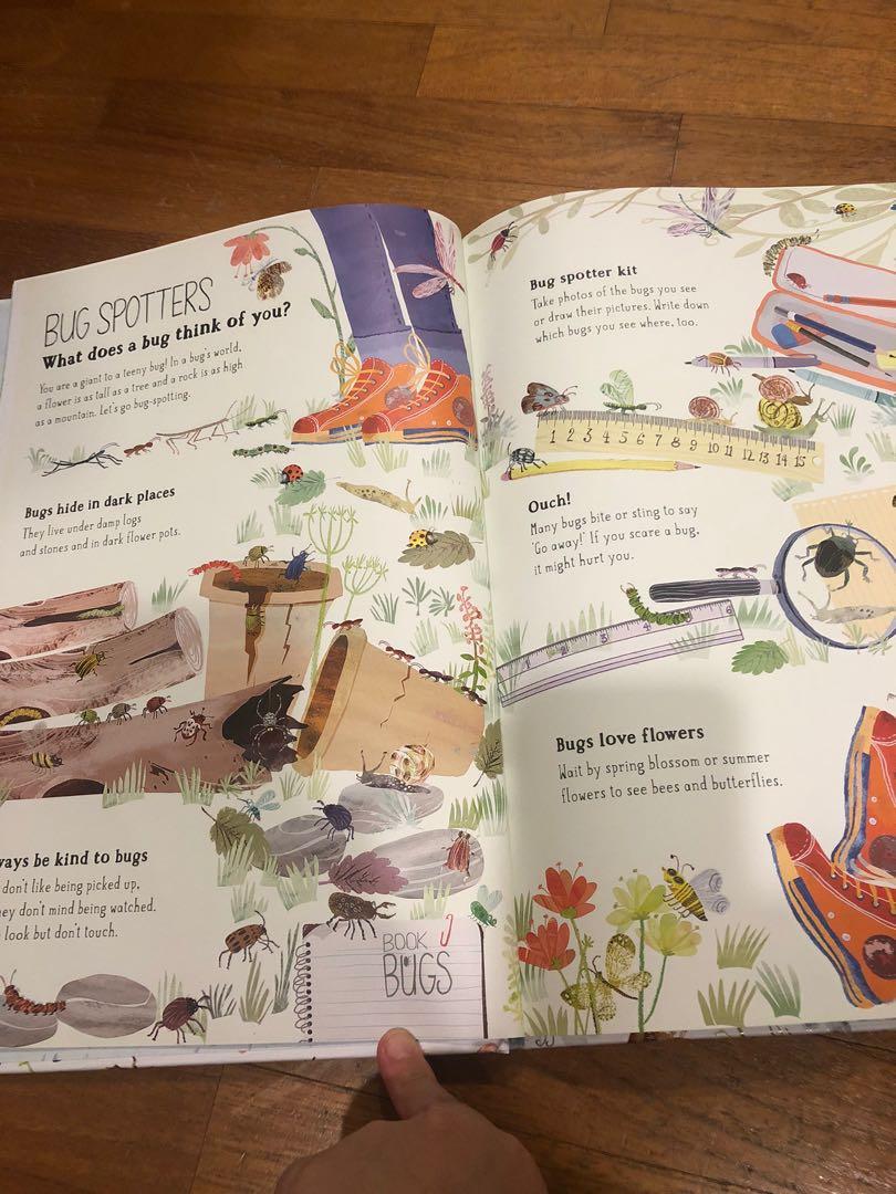 The Big Book of Bugs by Yuval Zommer for kids children reference book, Hobbies & Toys, Books ...