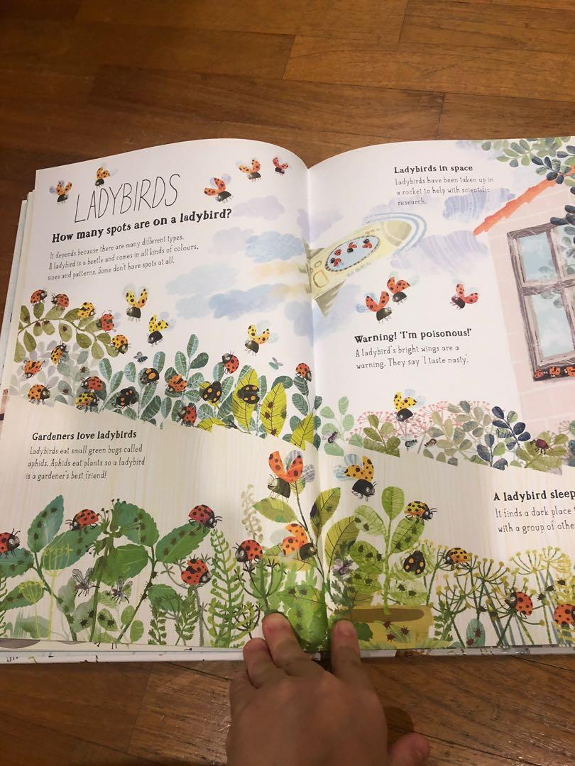 The Big Book of Bugs by Yuval Zommer for kids children reference book ...