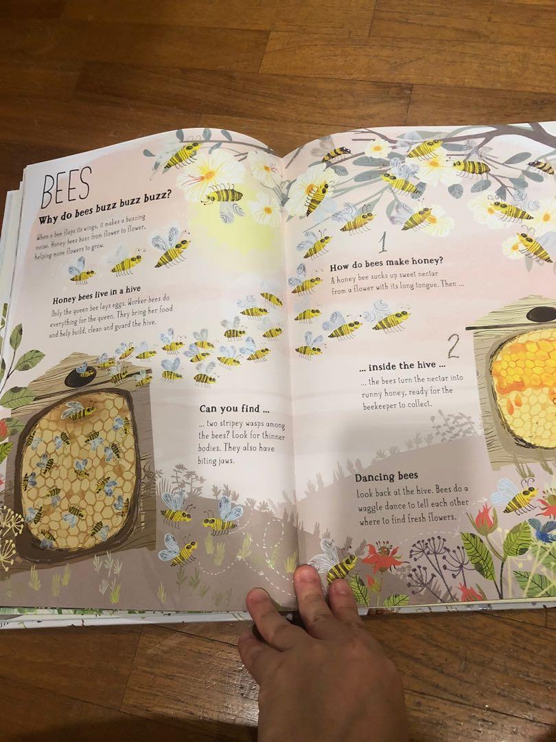 The Big Book of Bugs by Yuval Zommer for kids children reference book ...