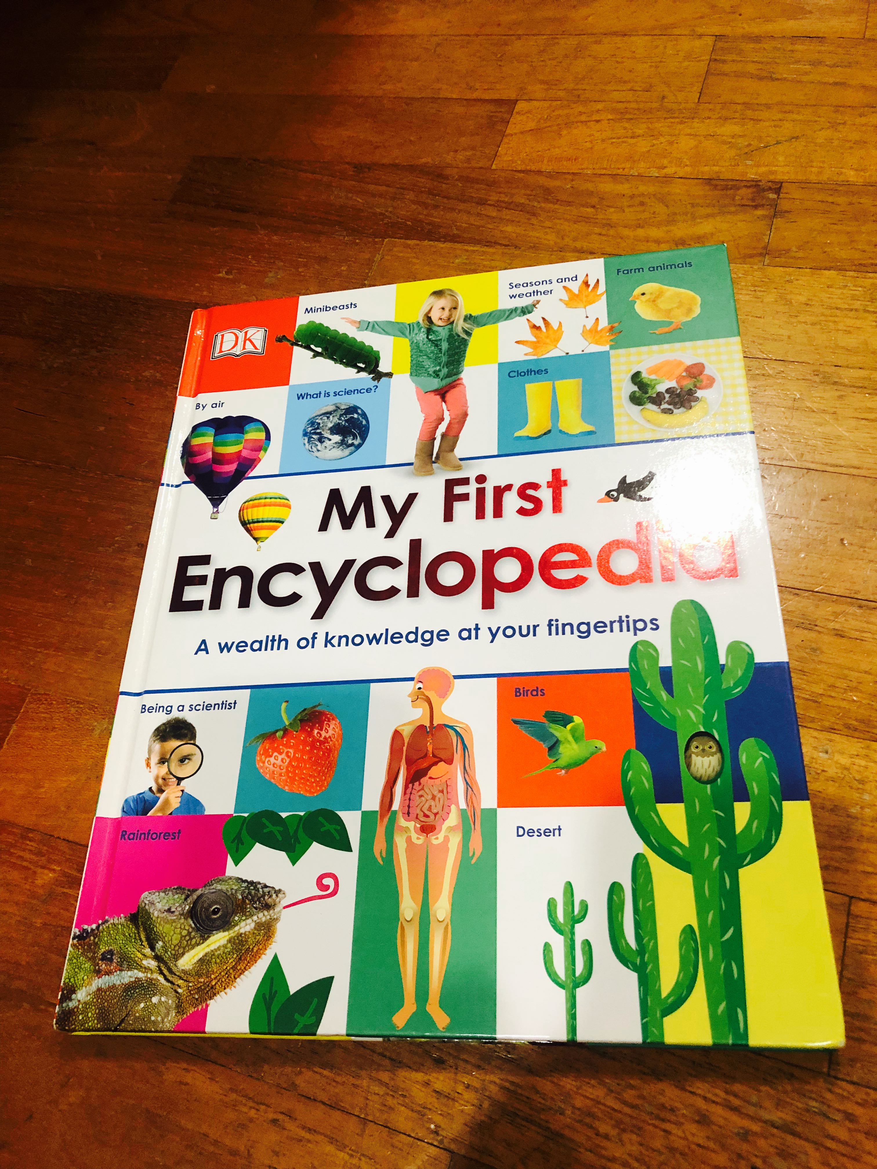 DK My First Encyclopedia kids children reference book, Hobbies & Toys ...