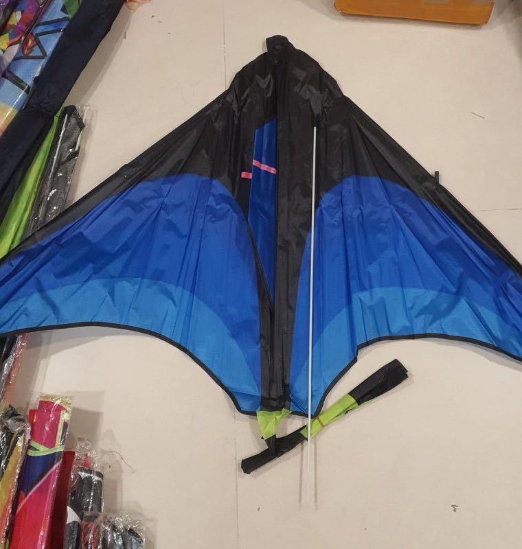 Kites for all ages (Robin Delta kite) FOC 260m string wheel, Sports ...