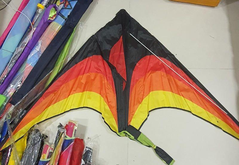 Kites for all ages (Robin Delta kite) FOC 260m string wheel, Sports ...