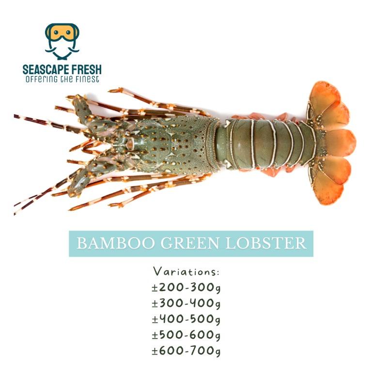 【Seafood】Bamboo Green Lobster - 200-700g per piece, Frozen (青龙虾), Food ...