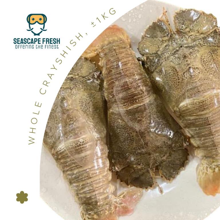 【Seafood】Slipper Lobster / Crayfish - 1kg, Frozen 5-8 pieces (虾婆/琵琶虾 ...