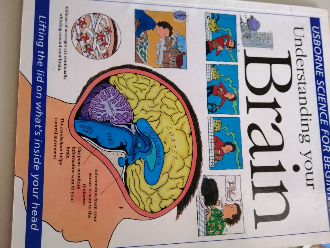 Usborne children English story book understanding brain, Hobbies & Toys ...