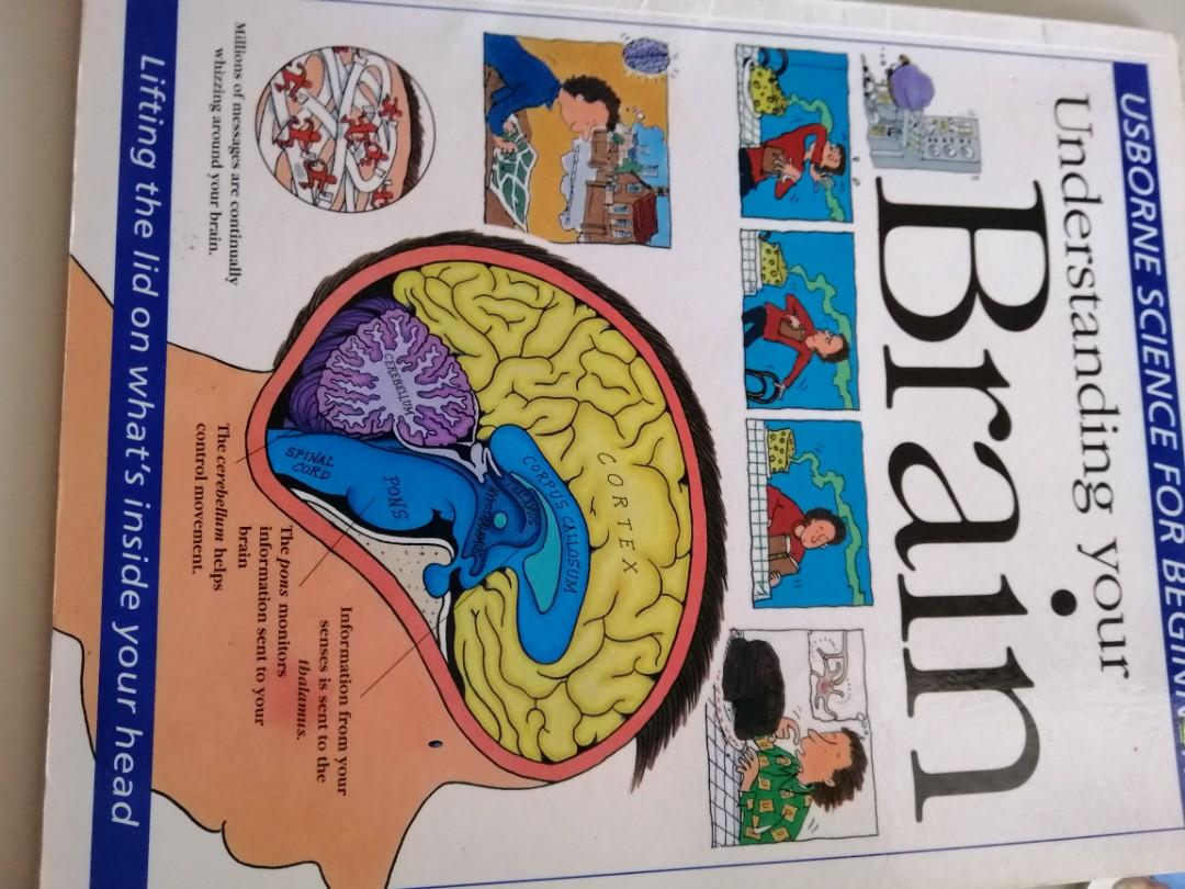 Usborne children English story book understanding brain, Hobbies & Toys ...