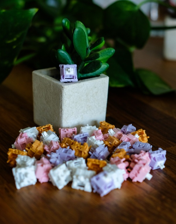 Cow Switches Taro (110 switches), Computers & Tech, Parts & Accessories ...