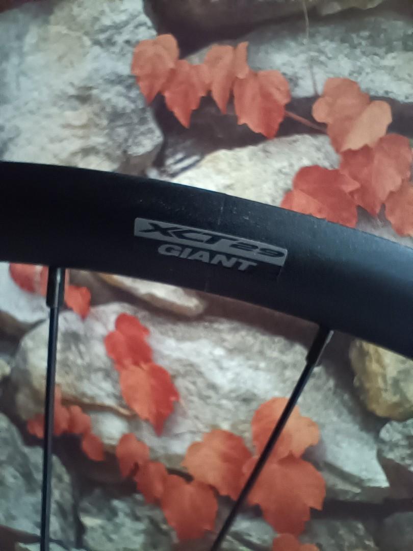 Giant XCT Rims - 29er Tubeless Ready, Sports Equipment, Bicycles ...