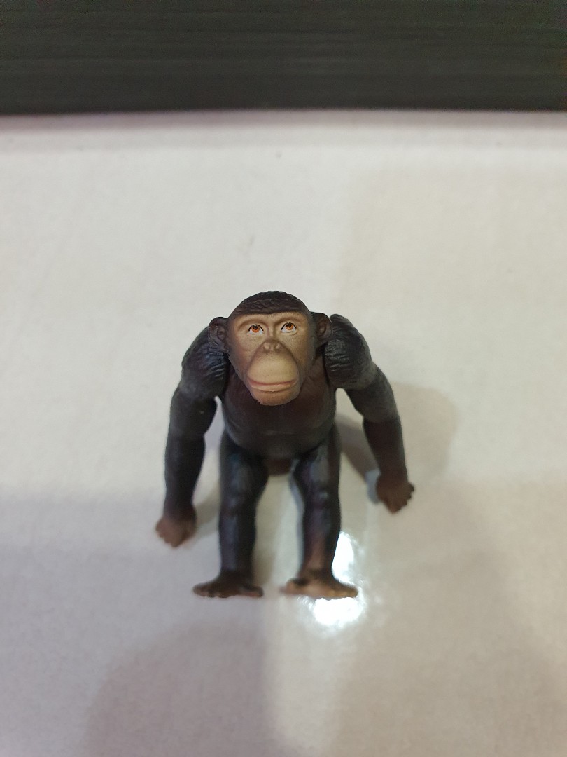 Tomy Mini Monkey, Hobbies & Toys, Collectibles & Memorabilia, Fan ...