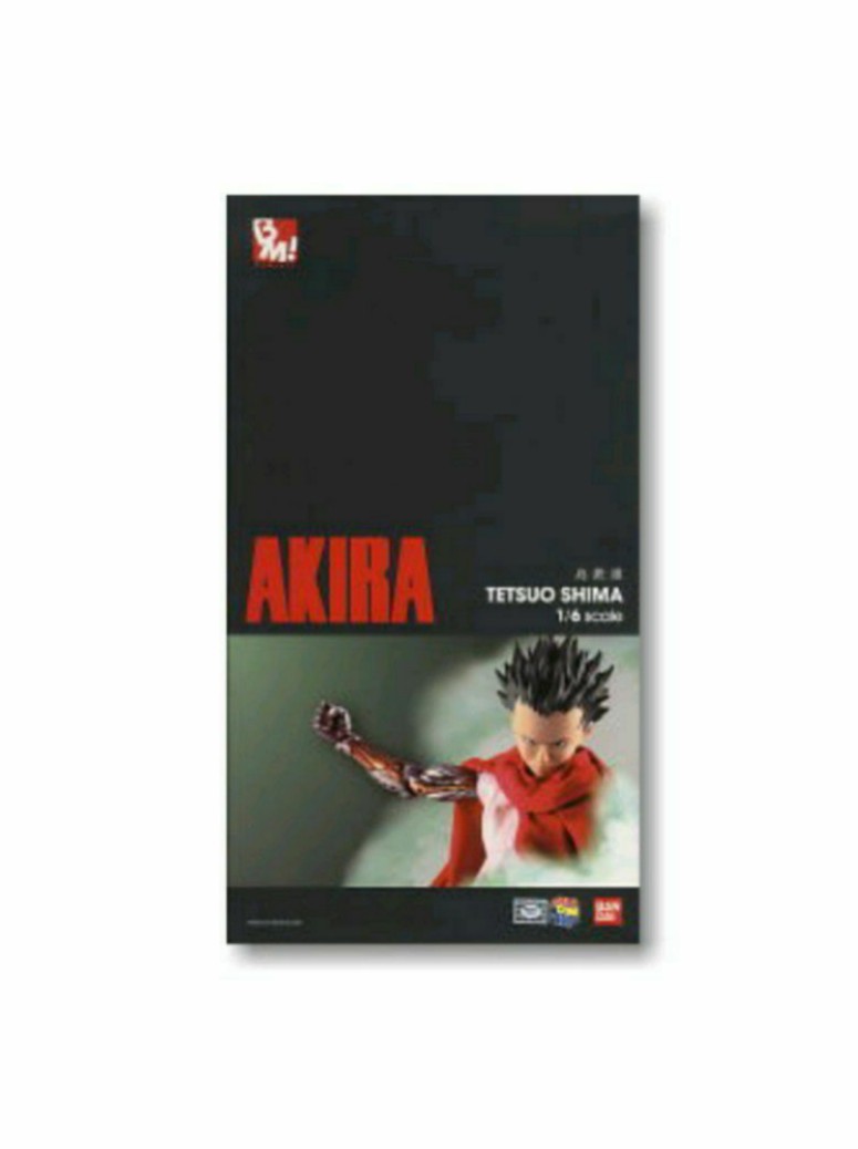 全新末開封品 Project BM 1/6 12吋 阿基拉 Akira 島鉄雄 島 鐵雄 Tetsuo Shima AKIRA Bandai Medicom Real Action Hero ...