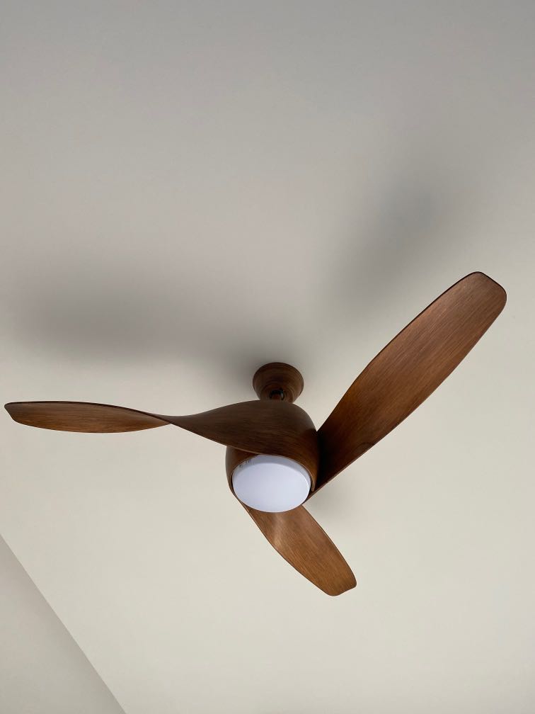 Acorn Ceiling fan, Furniture & Home Living, Lighting & Fans, Fans on ...