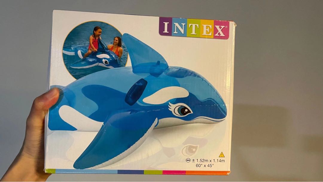 Intex float Dolphin design, Hobbies & Toys, Toys & Games on Carousell