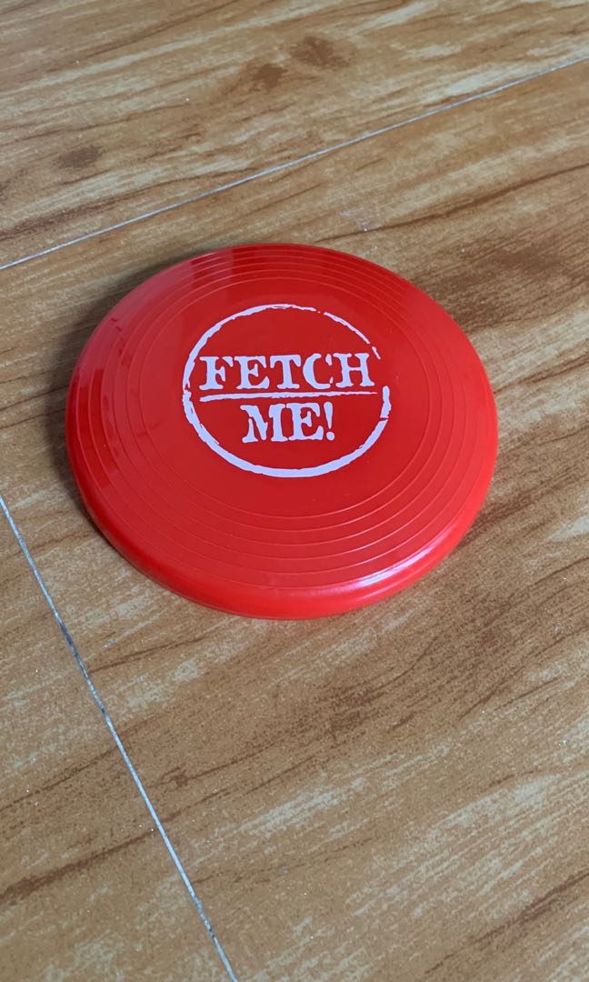 Mini Freeze-bee, Sports Equipment, Other Sports Equipment and Supplies ...