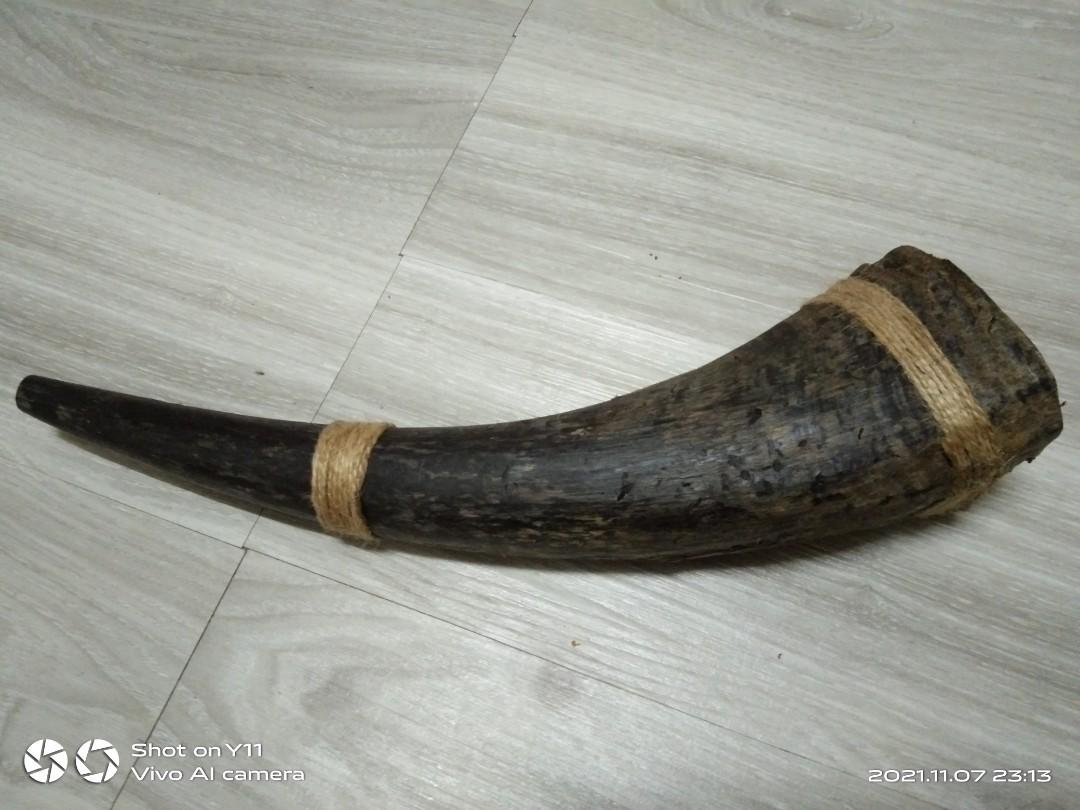 Tetuang tanduk kerbau, Hobbies & Toys, Collectibles & Memorabilia ...