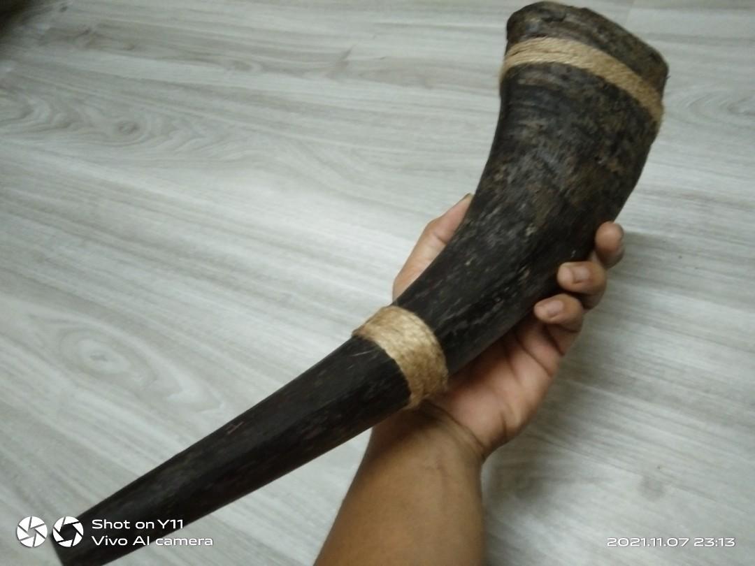 Tetuang tanduk kerbau, Hobbies & Toys, Collectibles & Memorabilia ...