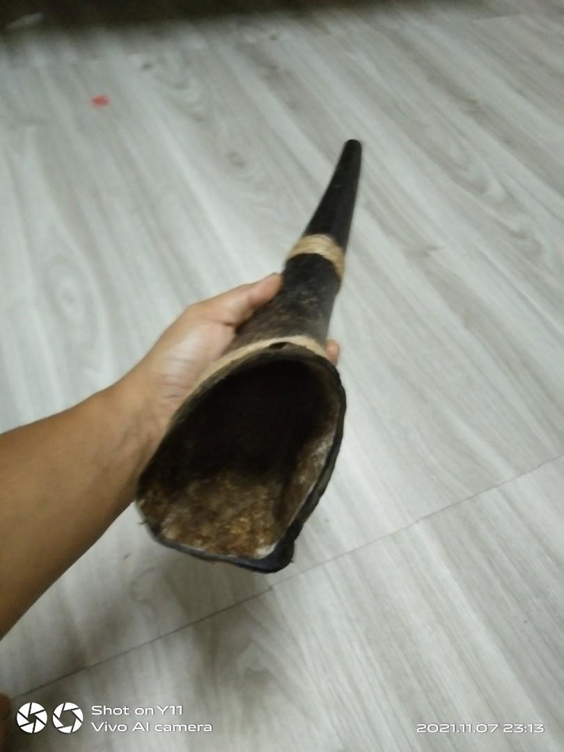 Tetuang tanduk kerbau, Hobbies & Toys, Collectibles & Memorabilia ...