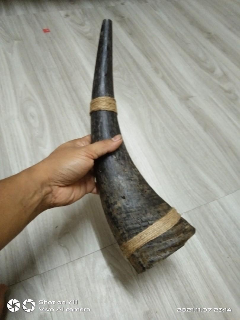 Tetuang tanduk kerbau, Hobbies & Toys, Collectibles & Memorabilia ...