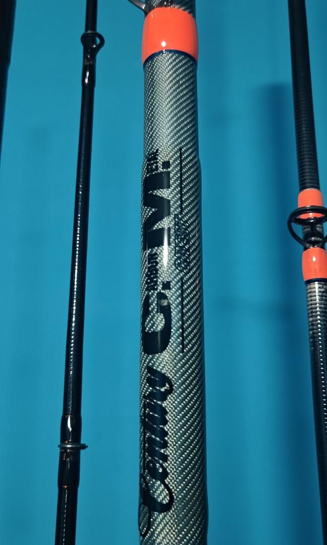 3 Surf Rods, Sports Equipment, Fishing on Carousell