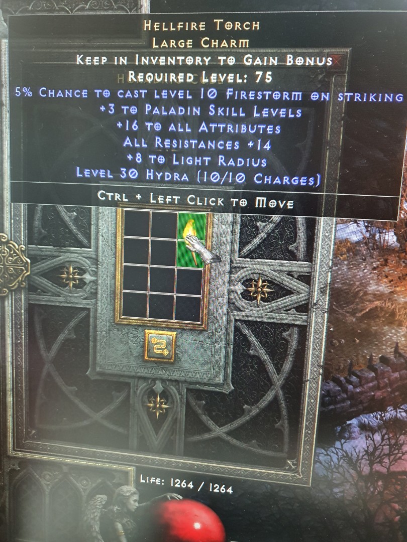 D2R - Hell fire Paladin Torch!, Everything Else on Carousell