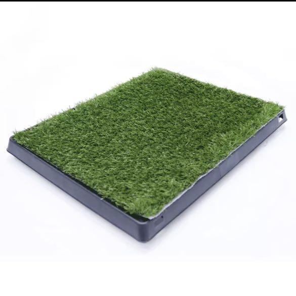 Dog grass pee tray, Pet Supplies, Homes & Other Pet Accessories on ...