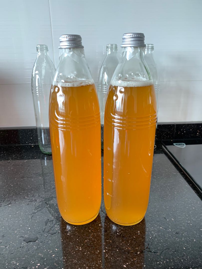 Home made Kombucha, Food & Drinks, Beverages on Carousell