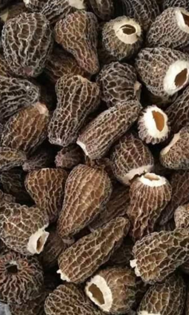 Morel Himalayan Mushroom Morchella dried 200 gram, 嘢食 & 嘢飲, 包裝食物&即食食物 ...
