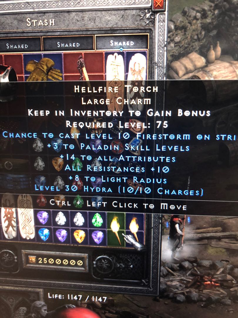 14/10 Paladin hellfire torch d2r Diablo 2 resurrected, Video Gaming ...
