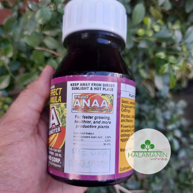 Authentic ANAA Growth Hormone (Alpha Naphthalene Acetic Acid 120ml ...