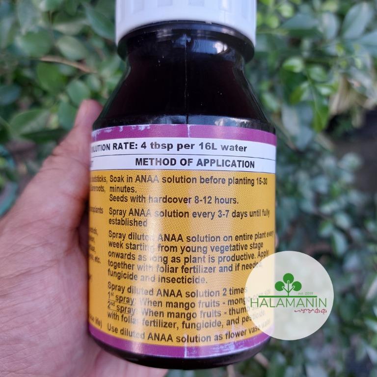 Authentic ANAA Growth Hormone (Alpha Naphthalene Acetic Acid 120ml ...