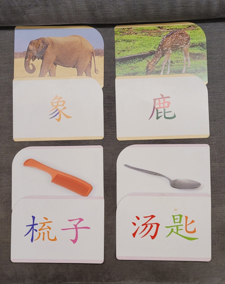 Flash Card " Wink to learn" (English and Chinese), Hobbies & Toys ...