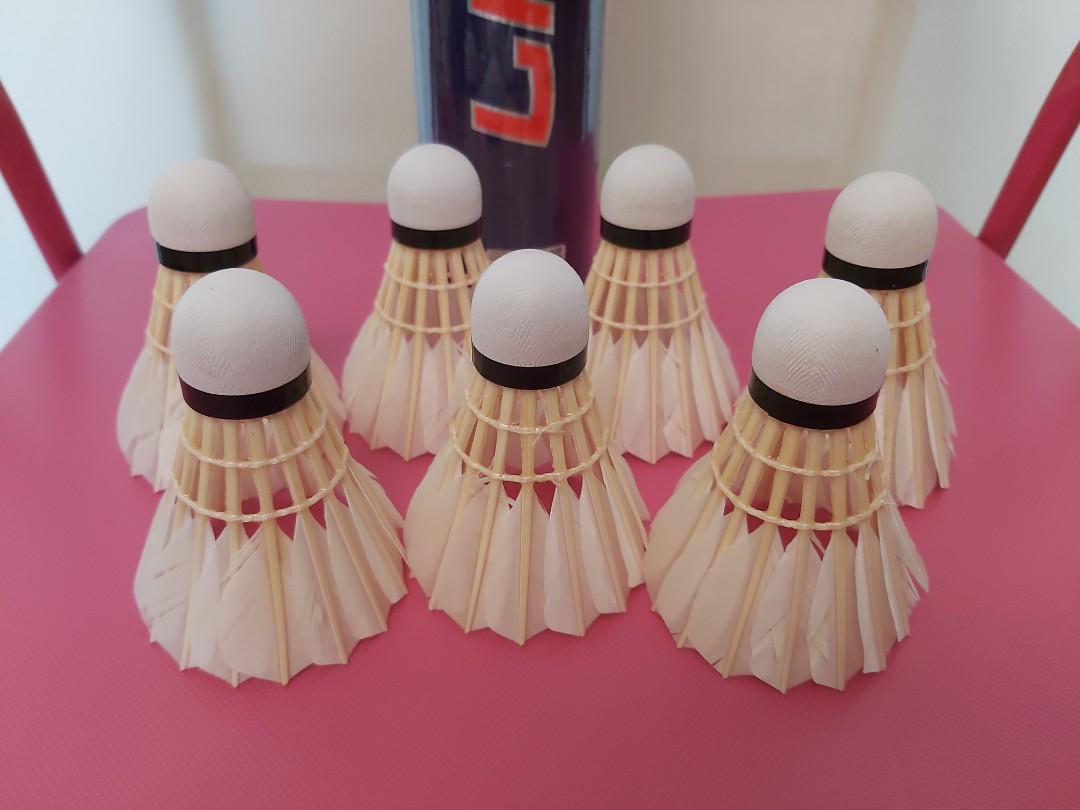 Li Ning Shuttlecock For Sale - New, Sports Equipment, Sports & Games ...