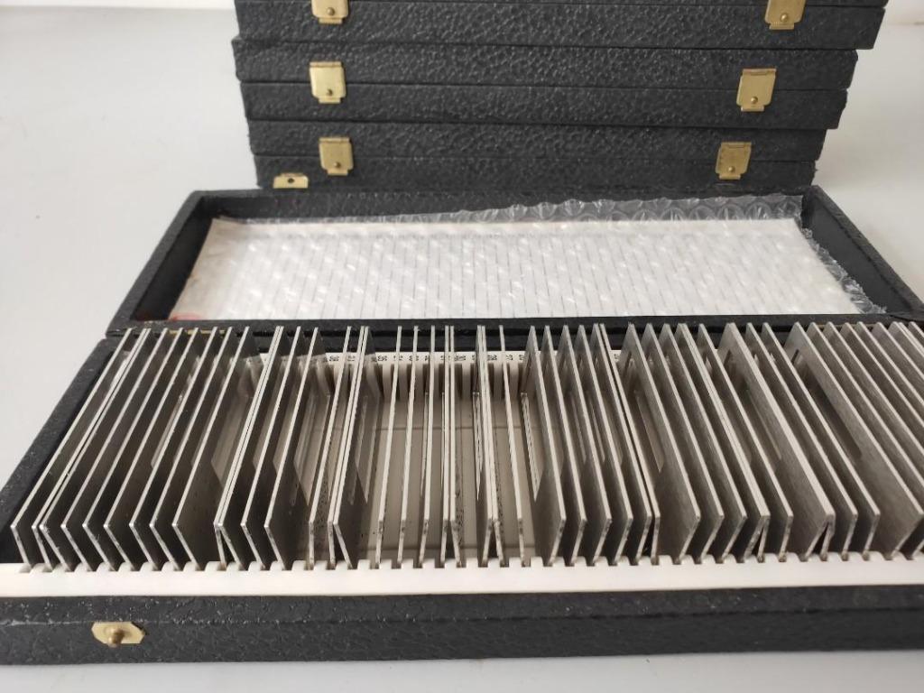 MMI Membrane Slides for Microdissection for sale @ $120 per box (AAR673 ...