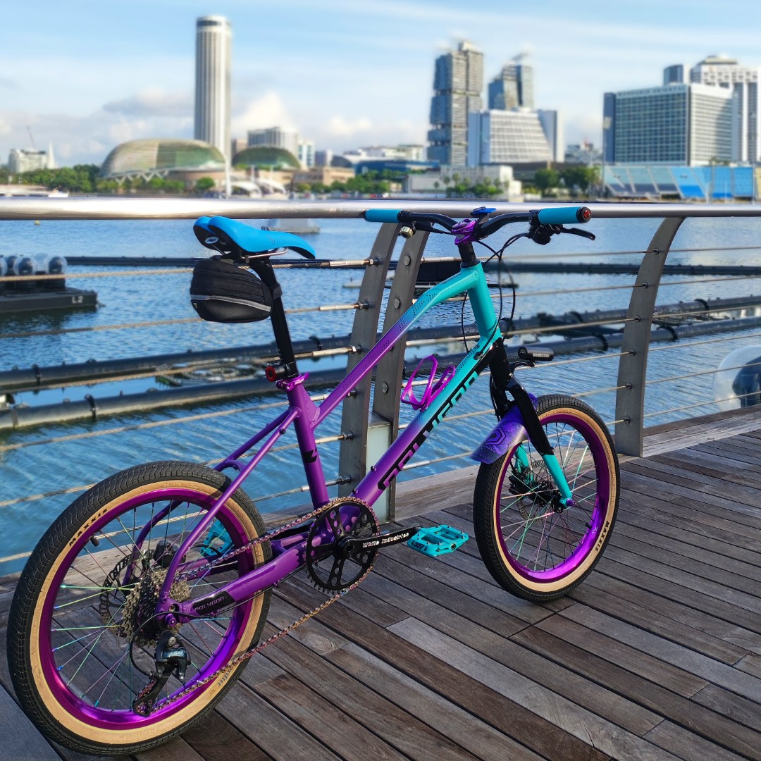 Polygon Zeta 2, Sports Equipment, Bicycles & Parts, Bicycles on Carousell