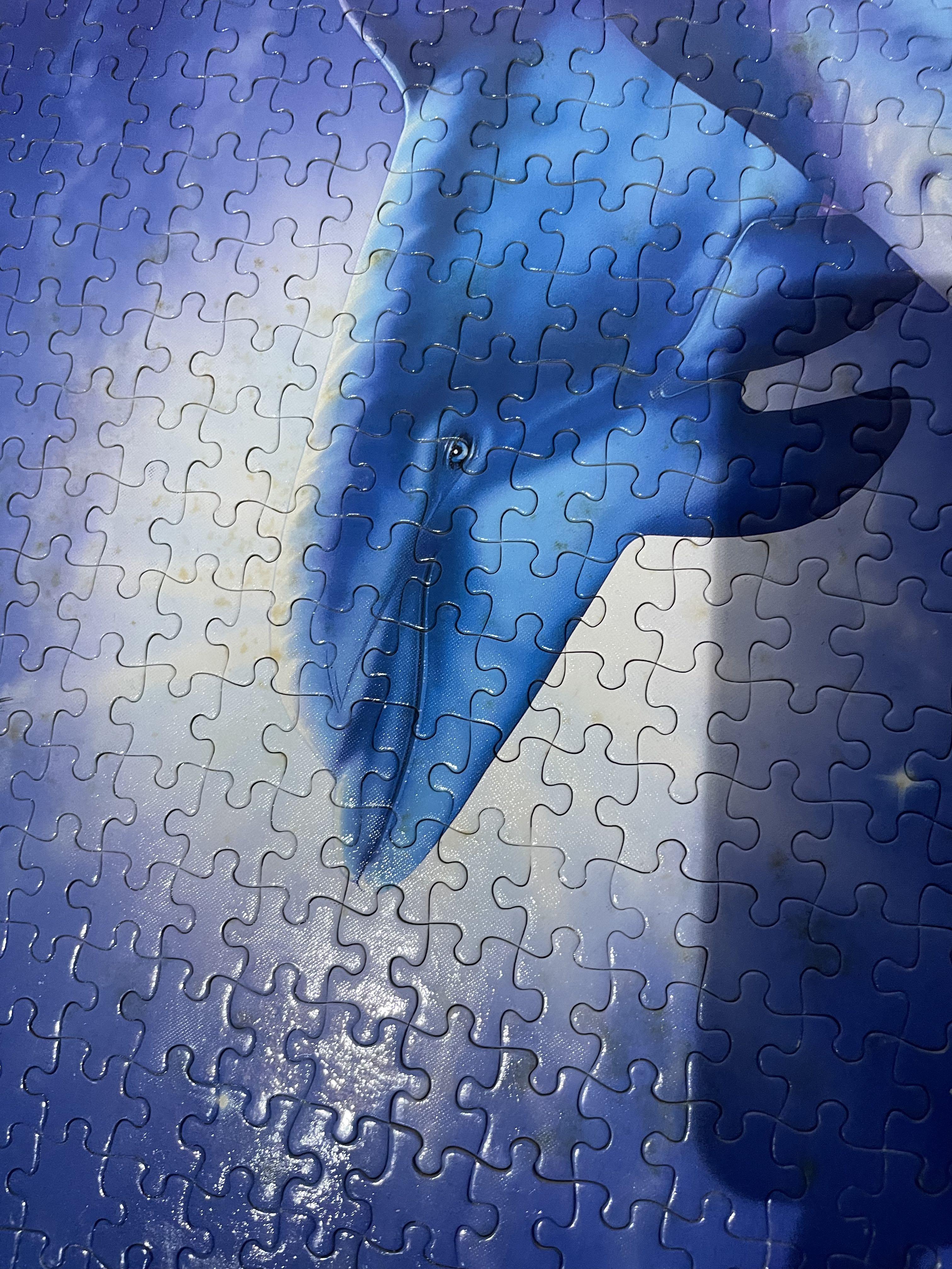 Dolphin puzzle, Hobbies & Toys, Stationery & Craft, Art & Prints on ...