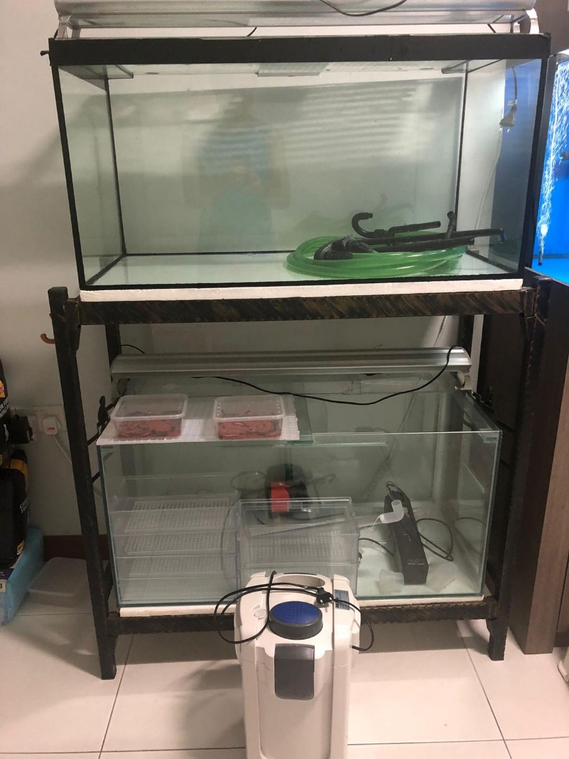 Double fish tank with filter, Pet Supplies, Homes & Other Pet ...