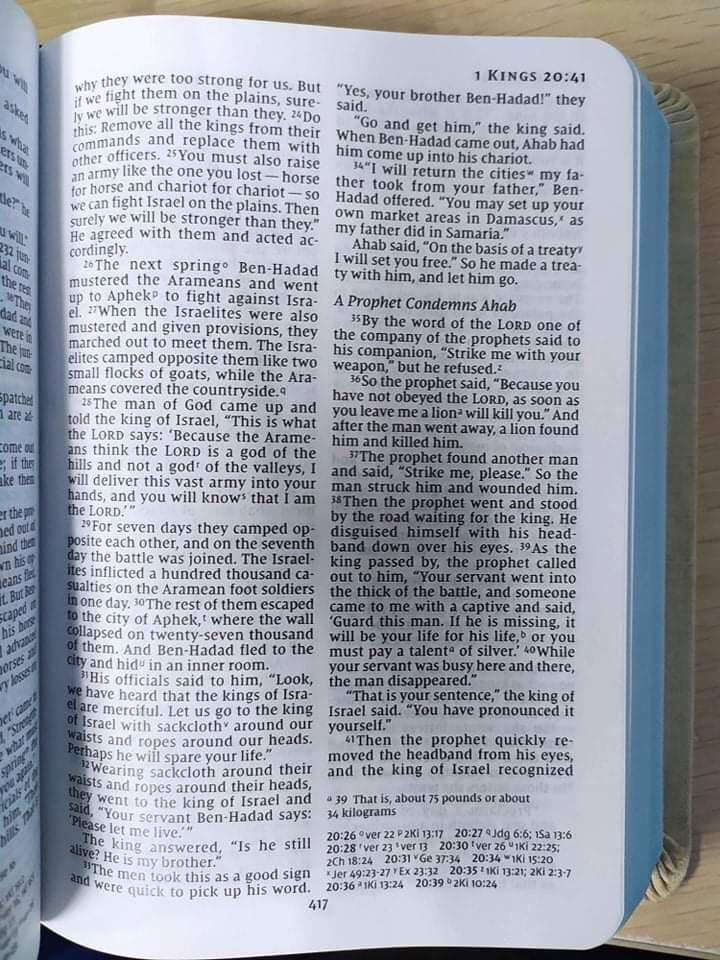 NIV Compact Reference Bible Exclusive Edition, Hobbies & Toys, Books ...