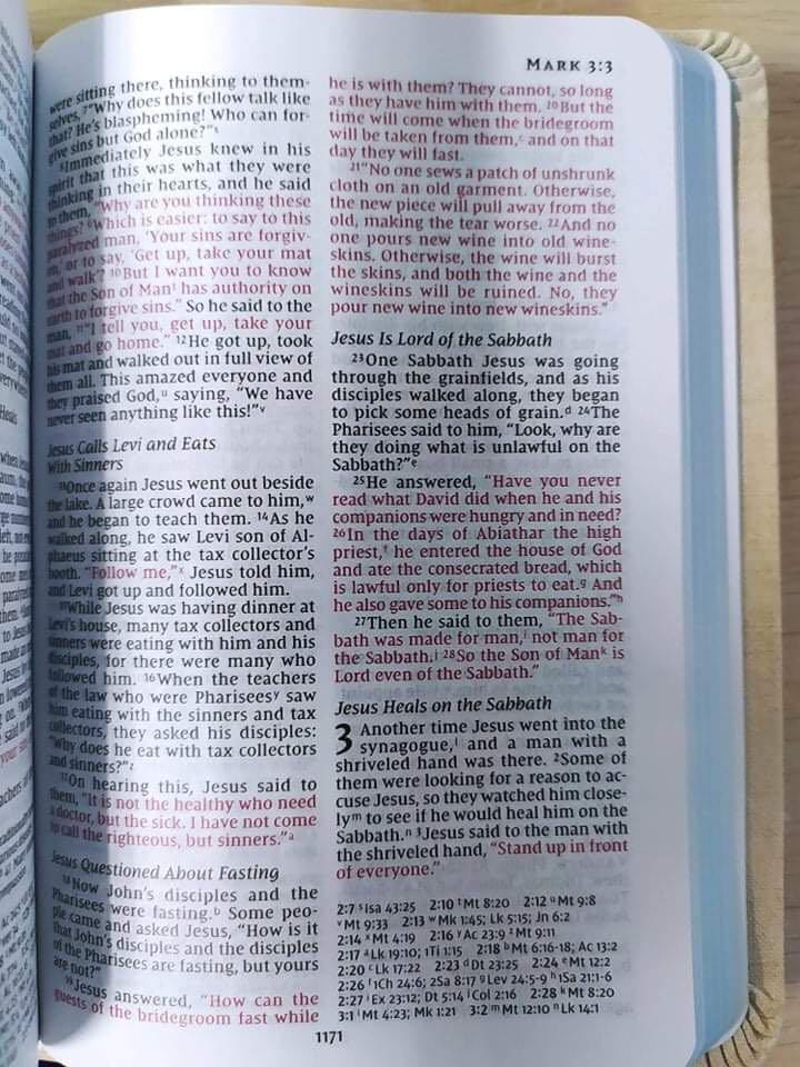 NIV Compact Reference Bible Exclusive Edition, Hobbies & Toys, Books ...